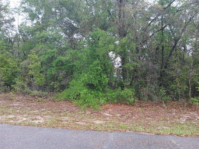 7851 N Vince Dr, Citrus Springs, FL 34434