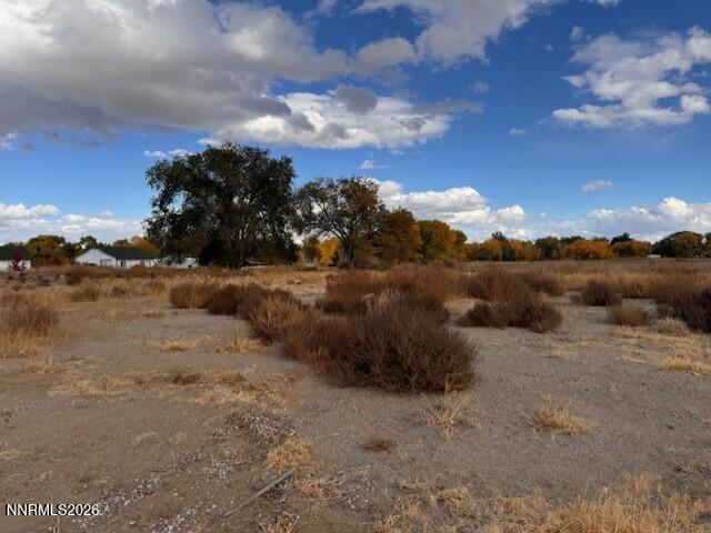 785 Wetland View, Fallon, NV 89406 | MLS #260002