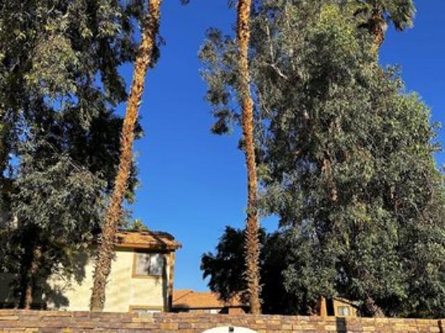 78650 Avenue 42 Apt 1515, Bermuda Dunes, CA 92203
