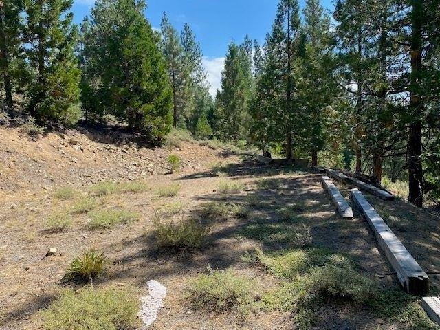 7865 E Bitterbrush Rd Lot 1, Portola, CA 96122