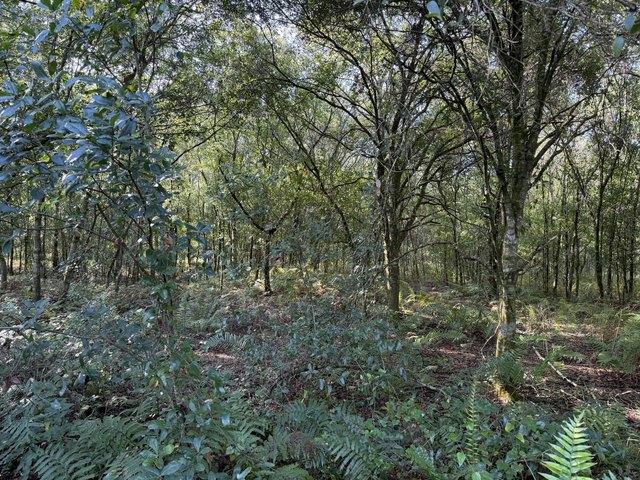 7868 NW 96th Ct, Okeechobee, FL 34972