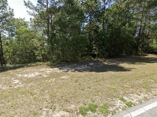 7868 N Elkcam Blvd, Citrus Springs, FL 34433 | MLS #OM711325 | Compass