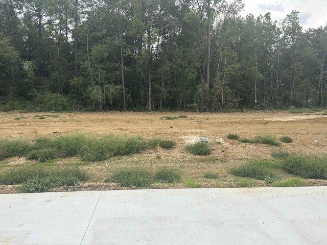 7860 Pixie Ln, Lumberton, TX 77657