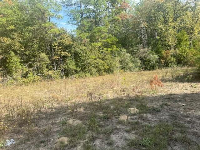 786 County Road 4070, Bon Wier, TX 75928 | MLS #50711