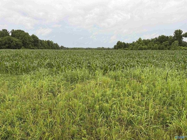 786 Acres County Road 133, Town Creek, AL 35672