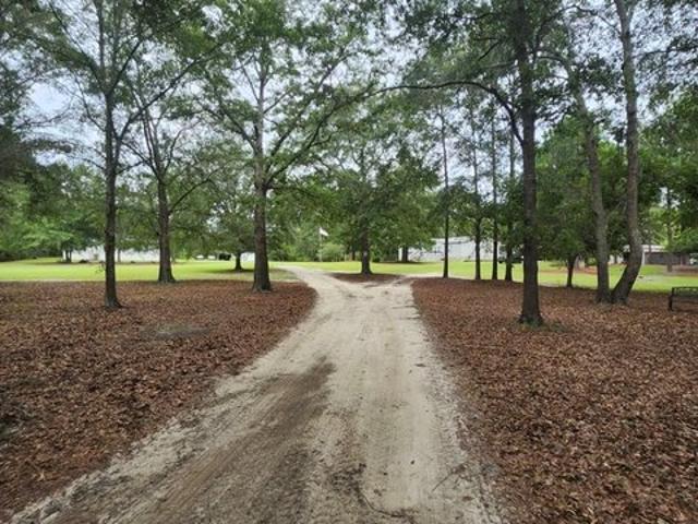 786 Blackberry Rd, Baconton, GA 31716