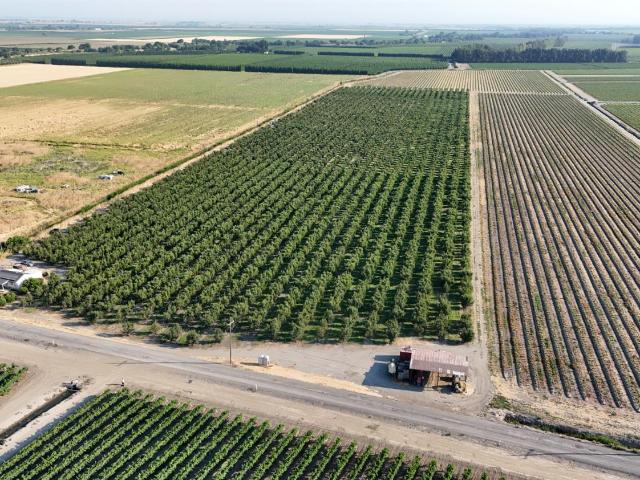 787 W Sutter Island Cross Rd, Courtland, CA 95615 | MLS #225099