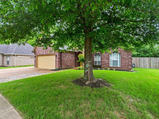 7887 pinefrost ln