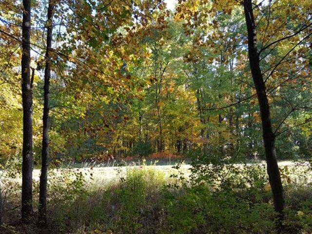 788 Greystone Dr Unit 8, Chelsea, MI 48118