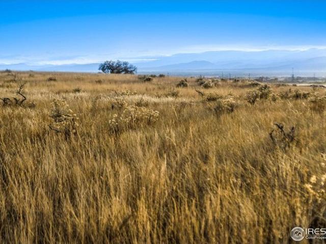 7895 County Road 84, Fort Collins, CO 80524