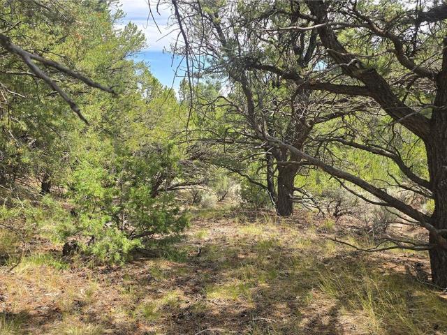 7892 Tiernan Rd, Fort Garland, CO 81133 | MLS #1618