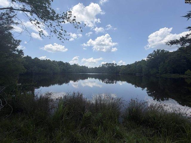 789 Ira Kinard Rd, Prosperity, SC 29127