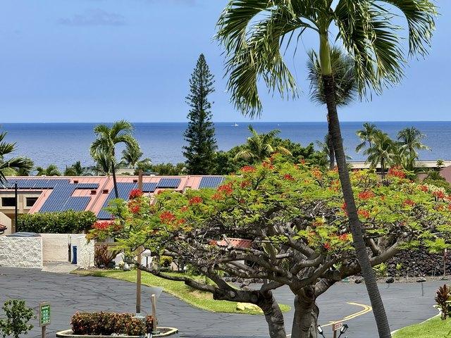 78 6842 Alii Dr Unit 11102, Kailua Kona, HI 96740