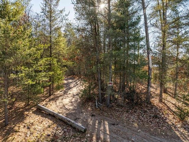 78.75 Acres County Road K, Wisconsin Dells, WI 53965