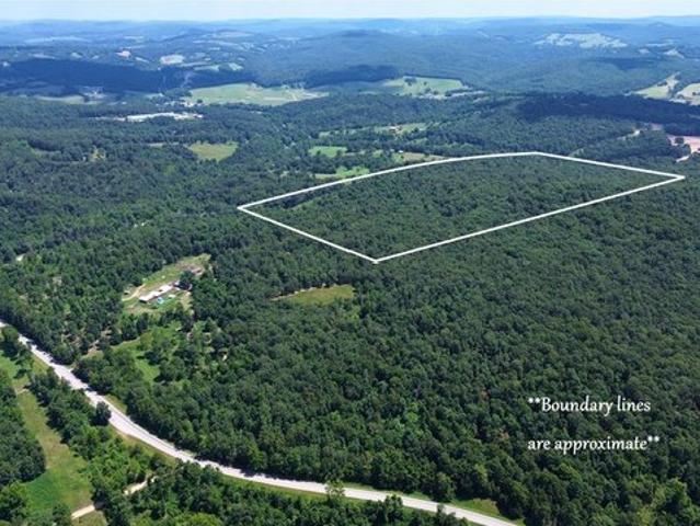 78 Acres Highway 21, Berryville, AR 72616