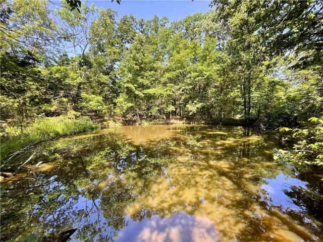 78 Acres Hwy 21