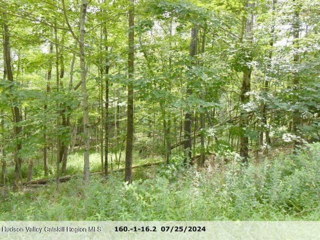 78 Bauer Rd, Averill Park, NY 12018 | MLS #20256 | Compass