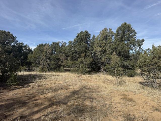 78 Candelaria Rd, Tijeras, NM 87059