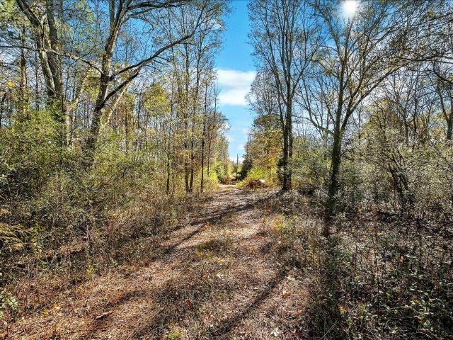78 Co Rd 640