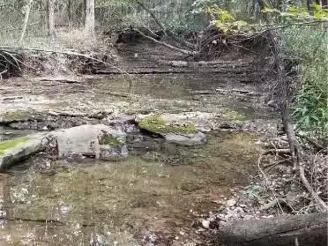 78 COUNTY ROAD 6561, BERRYVILLE, AR 72616 Vacant Land For Sale.