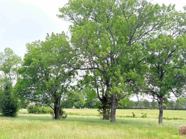 78 E Hwy 225 Street