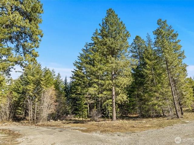78 Forest Ridge Dr Lot 78, Cle Elum, WA 98922