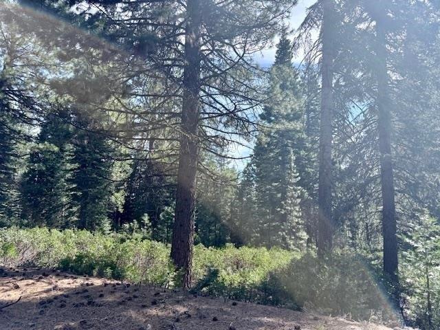78 Fox Head Dr Lot 20, Lake Almanor, CA 96137