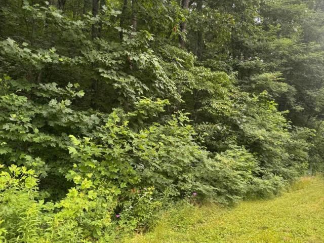 78 Lt 78 Pitch Pine Drive # 78