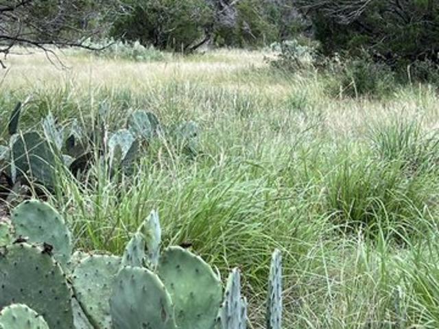 78 Mertz S/D Tract Cyn # 78, Ozona, TX 76943