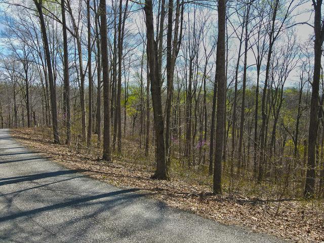 78 Sandstone Trail