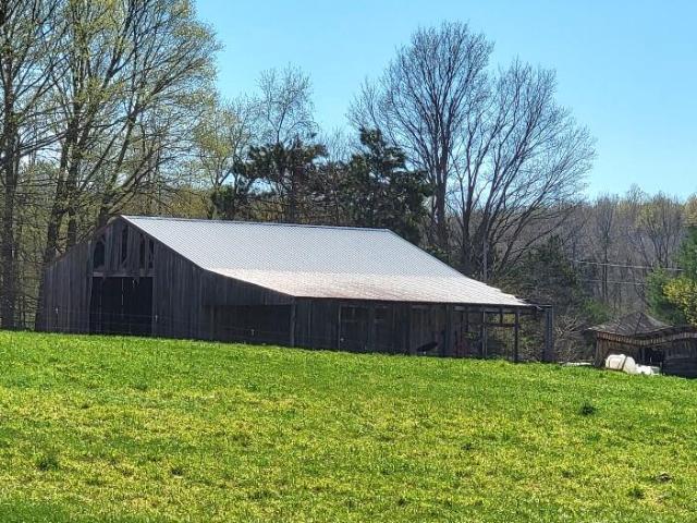7909 11 Mile Road