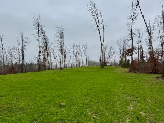 7900 Brooksie Thompson Rd, Bath Springs, TN 38311 | MLS #2505