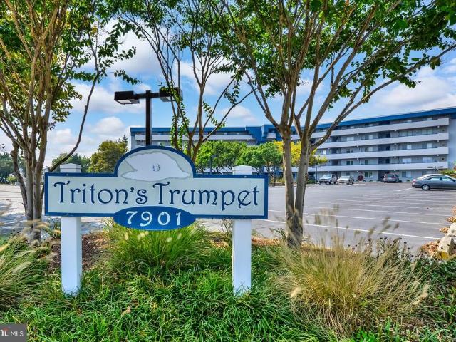 7901 Coastal Highway # B50402