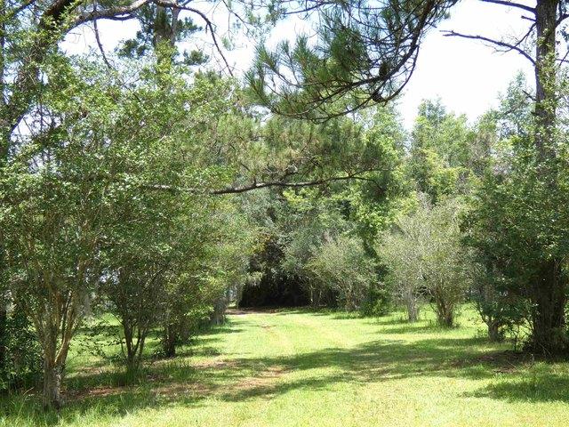 790 Wj Hatchett Rd, Lamont, FL 32336