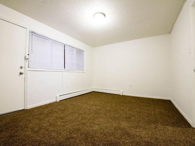 7916 S Drexel 1 Bedroom Apartment for Rent at 7916 S Drexel Ave, Chicago, IL 60619 Chatham