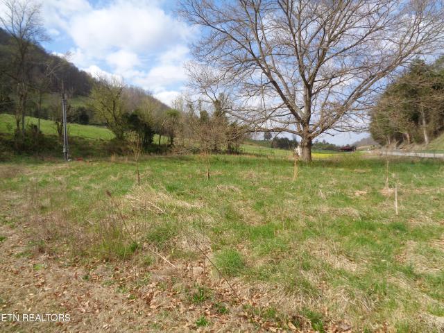 7918 Kyles Ford Hwy