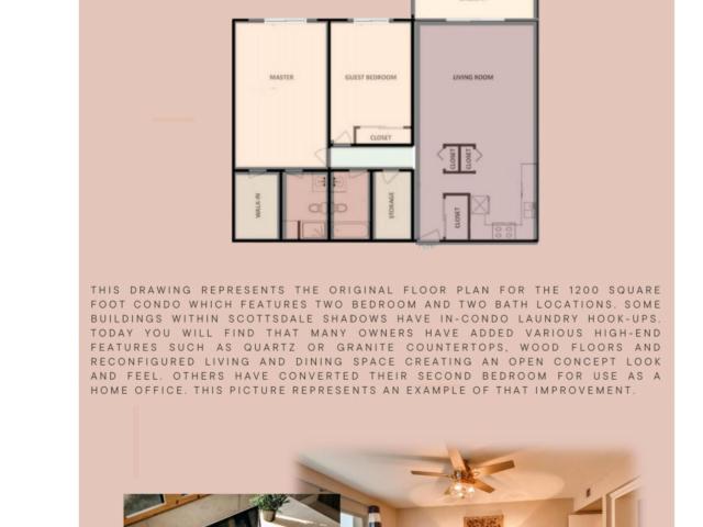 7910 e camelback road # 310