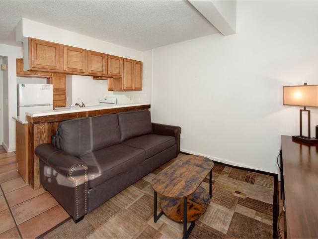 791 Rainbow Dr, Unit 791C, Silverthorne, CO 80498 | MLS #S1066