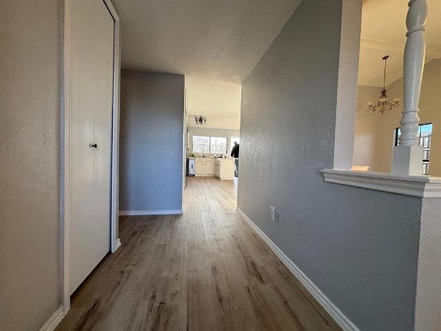 7921 Freeland Drive