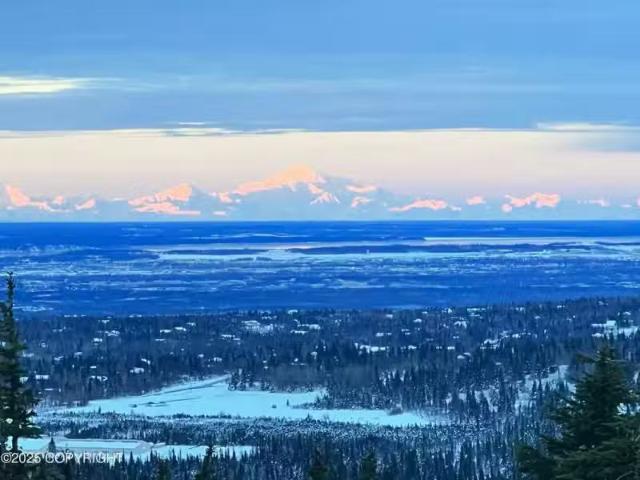 7921 VIOLA CIR, ANCHORAGE, AK 99516 Vacant Land For Sale MLS#.