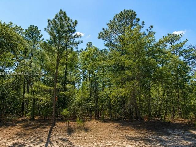 7932 N Elkcam Blvd, Citrus Springs, FL 34433