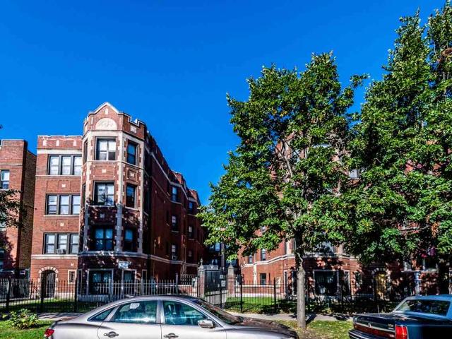 7944 S Paulina 1 Bedroom Apartment for Rent at 7944 S Paulina St, Chicago, IL 60620 Auburn Gresham