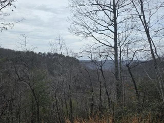 794 Eastridge Pass, Monterey, TN 38574