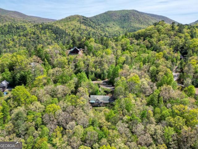 7957 Mountain Top Trail 3