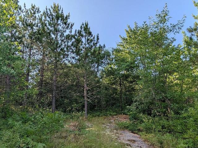 7952 Highway 24