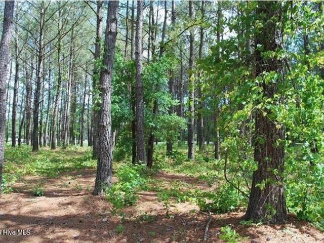 795 Wild Oak Ln NW Lot L45, Calabash, NC 28467