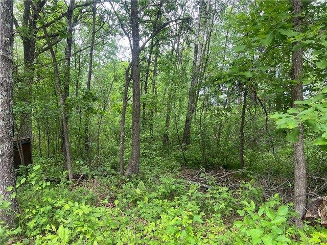 7968 County Road F, Danbury, WI 54830