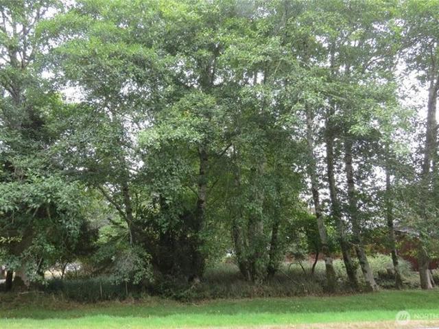 796 Mount Olympus Ave SE Lot 453, Ocean Shores, WA 98569