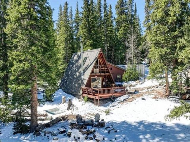 796 Valley of the Sun Dr, Fairplay, CO 80440
