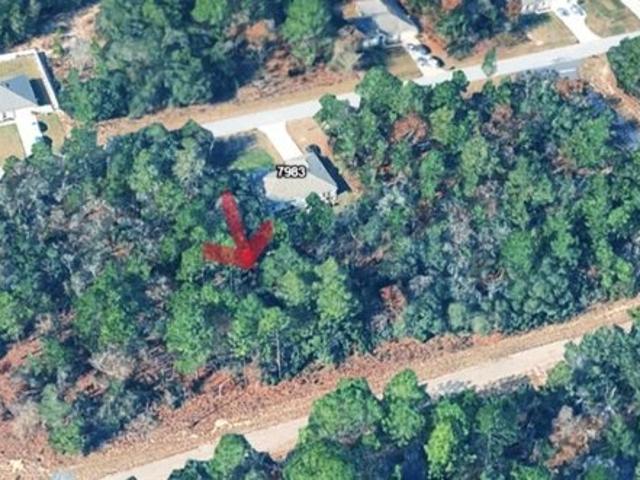 7970 N Bahama Ter, Dunnellon, FL 34433
